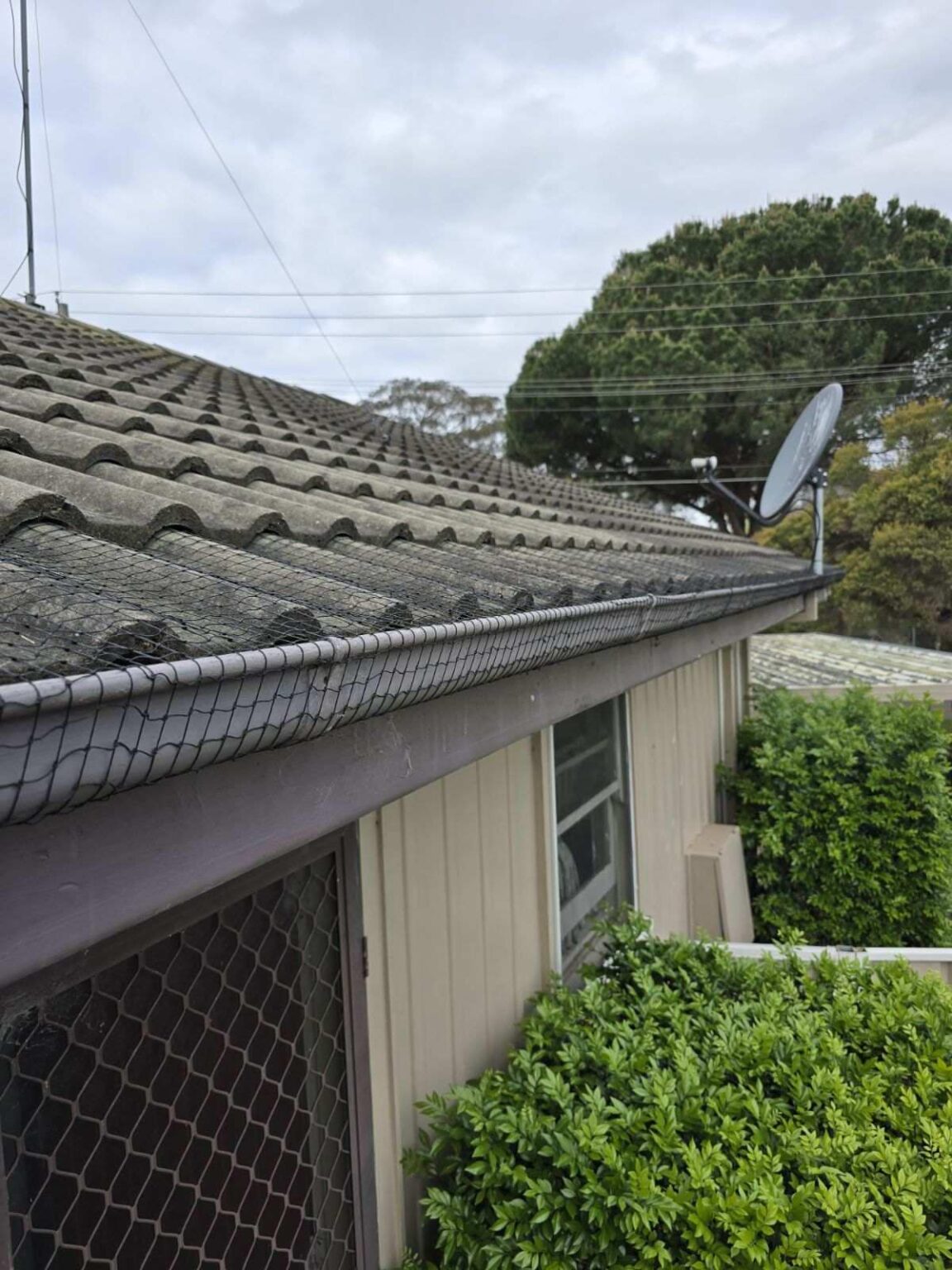 Bird Proofing | Pigeon Proofing | Bird Mesh | Bird Spikes | So Pest Off